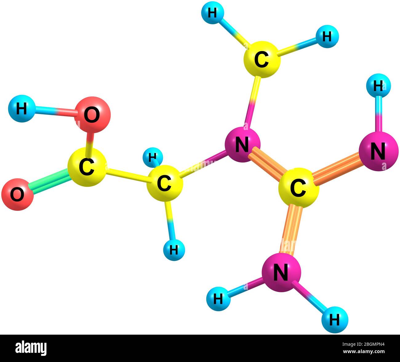 Creatine is a nitrogenous organic acid that occurs naturally in ...