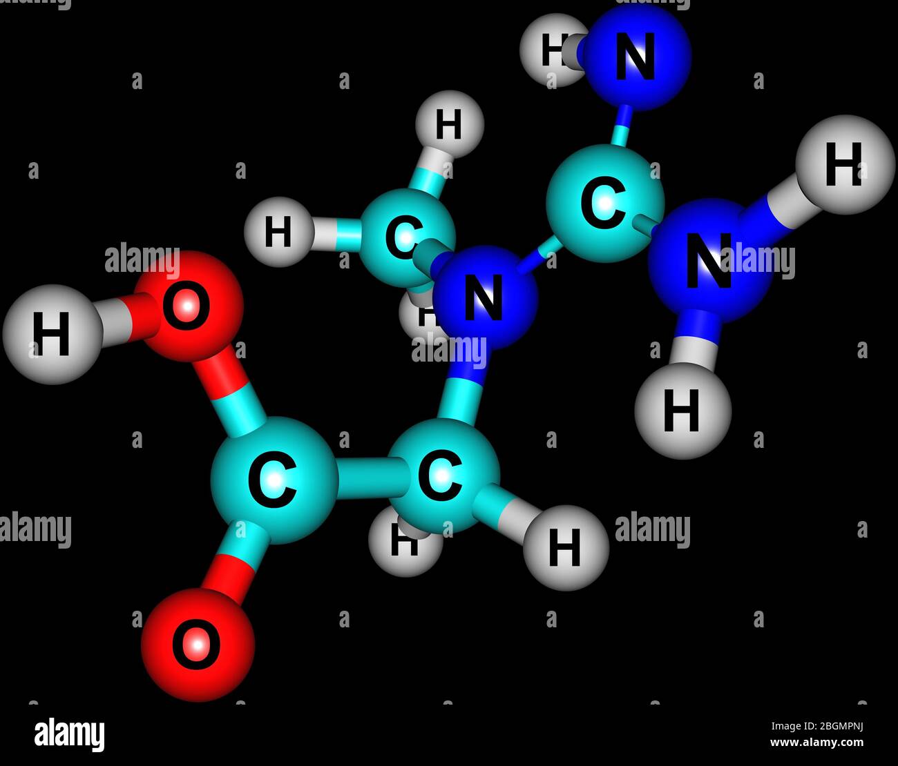 Creatine is a nitrogenous organic acid that occurs naturally in ...
