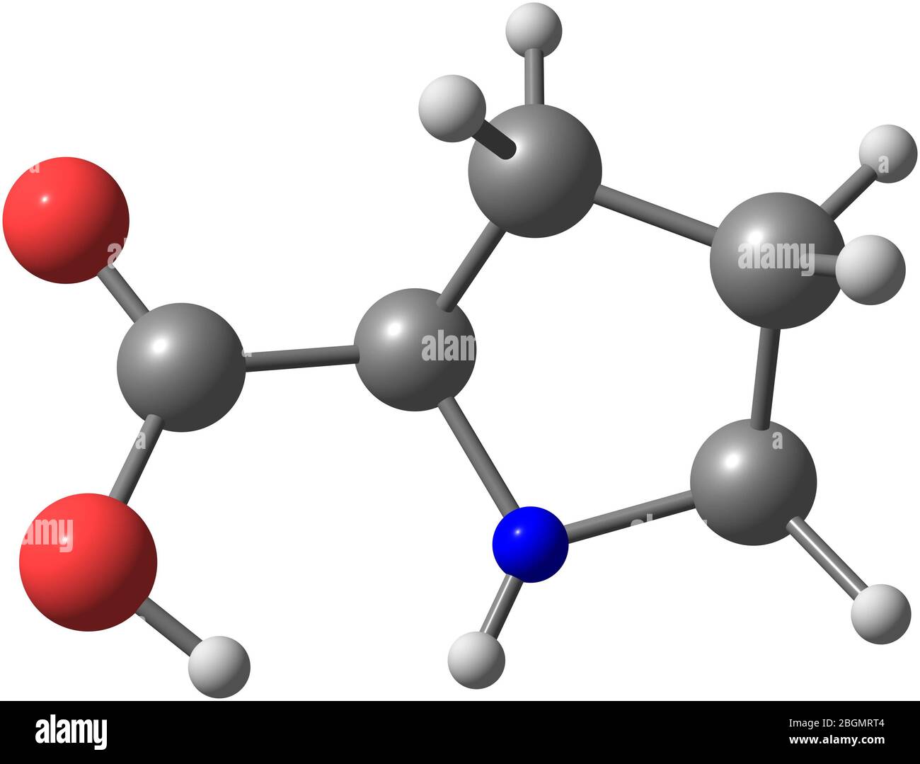 Proline is an alpha-amino acid that is used in the biosynthesis of ...