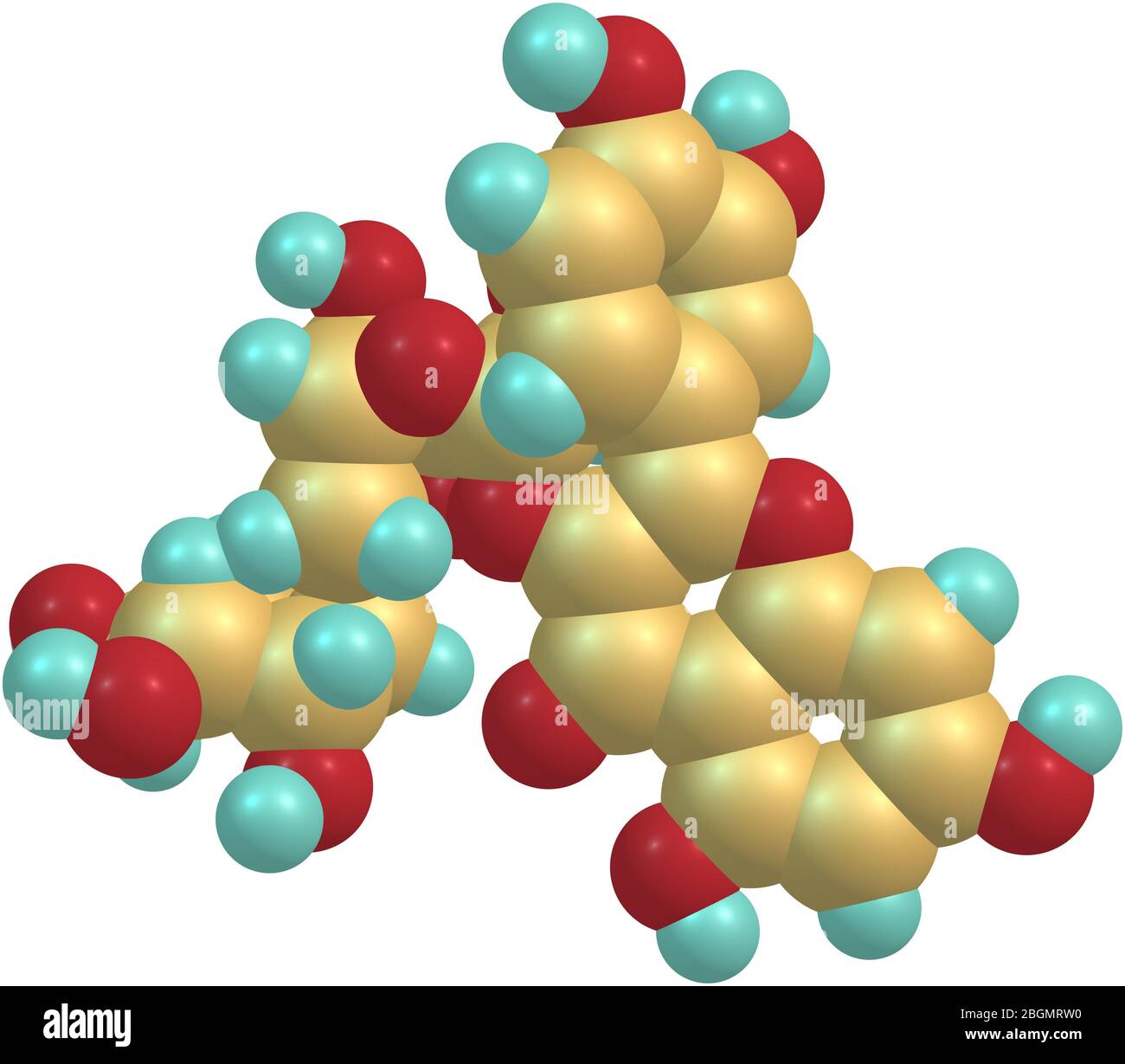 Rutin - rutoside, sophorin - is the glycoside between the flavonol ...