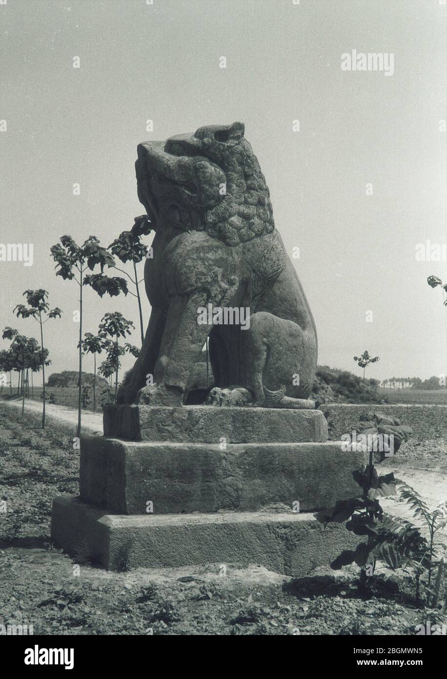 Lion stone tang dynasty hi-res stock photography and images - Alamy