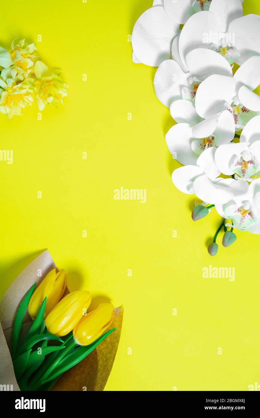 Tender flowers. Monochrome stylish and trendy composition in yellow ...