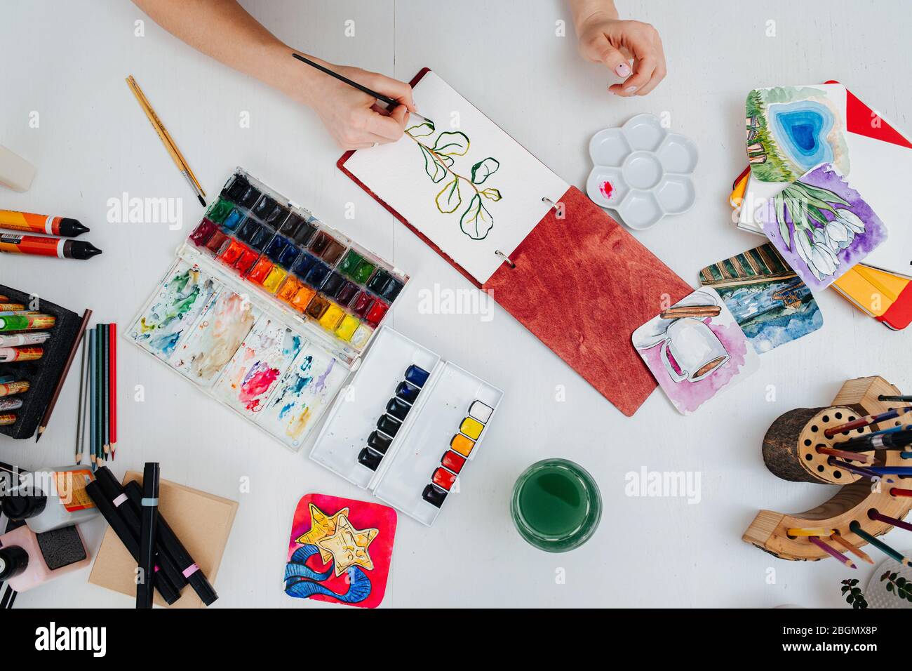 Woman hand painting small plant in her notepad with watercolor Stock ...
