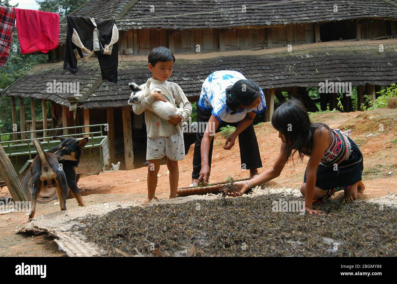 Children drinking tea hi-res stock photography and images - Alamy
