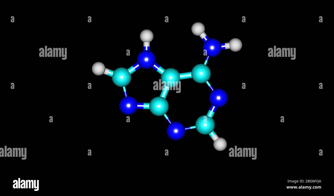 Adenine is one of the two purine nucleobases, the other is guanine ...