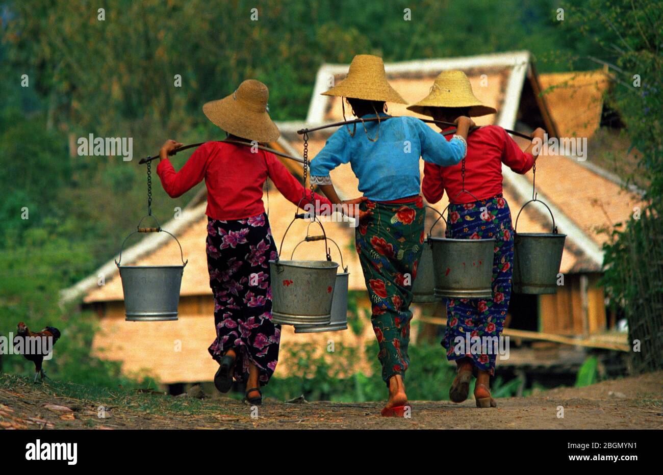 Qiang hi-res stock photography and images - Alamy