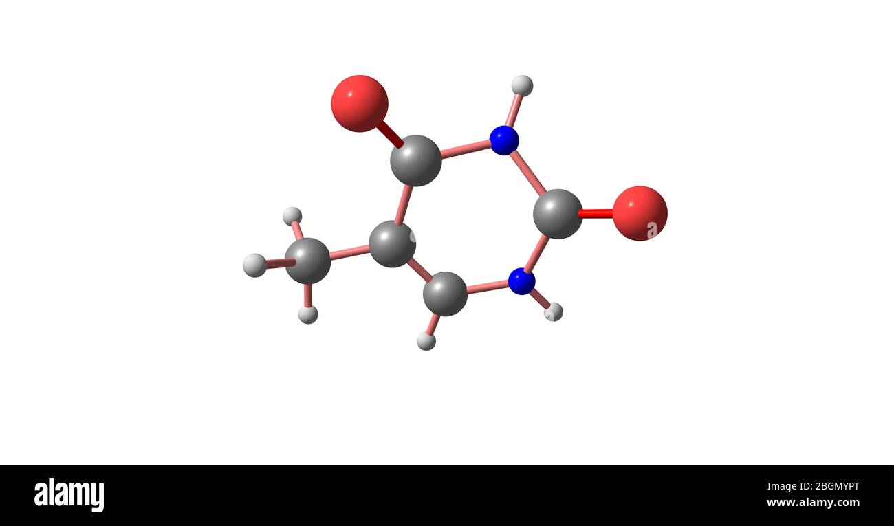 Thymine - T, Thy - is one of the four nucleobases in the nucleic acid ...