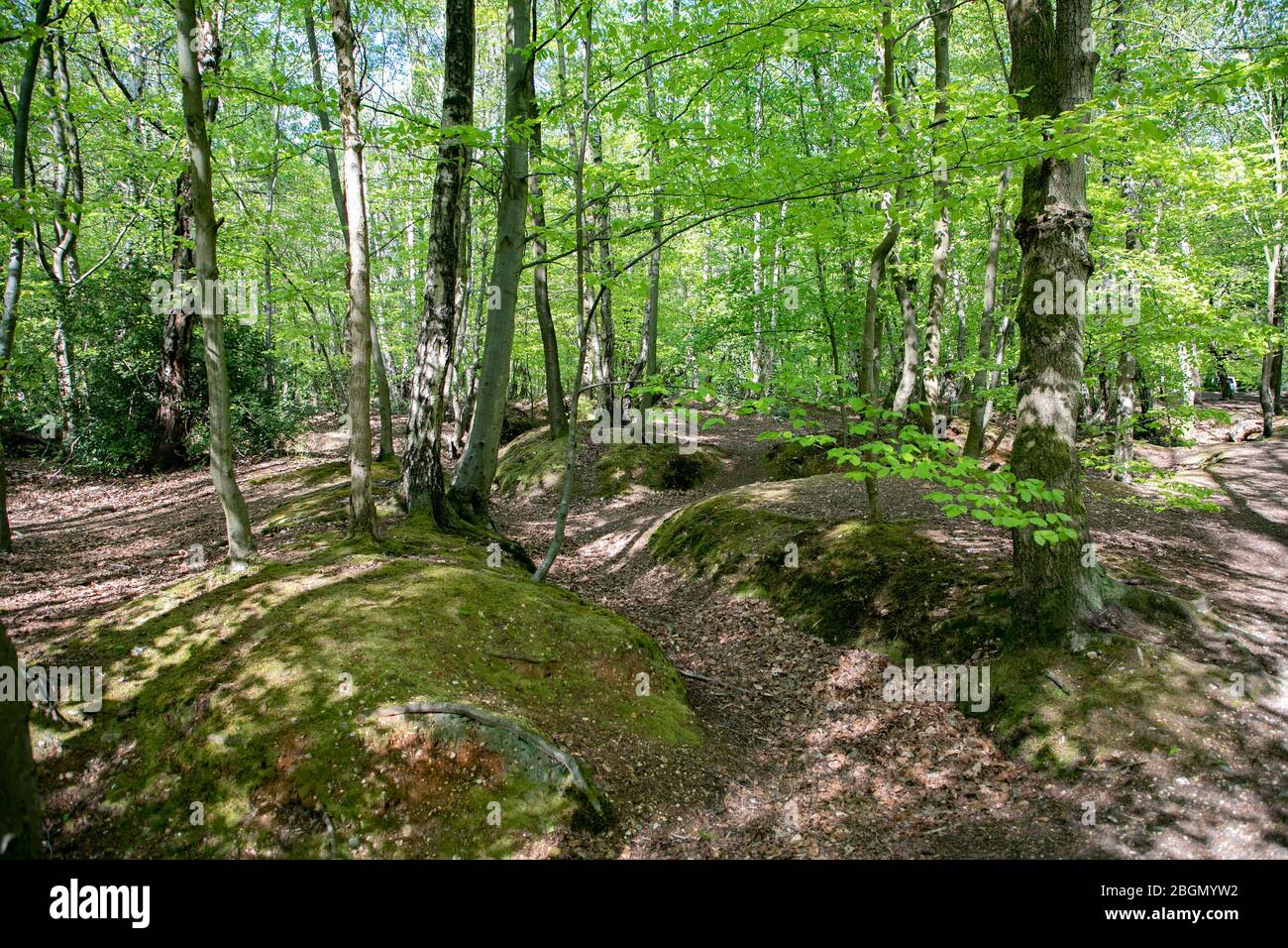Trench practice hi-res stock photography and images - Alamy
