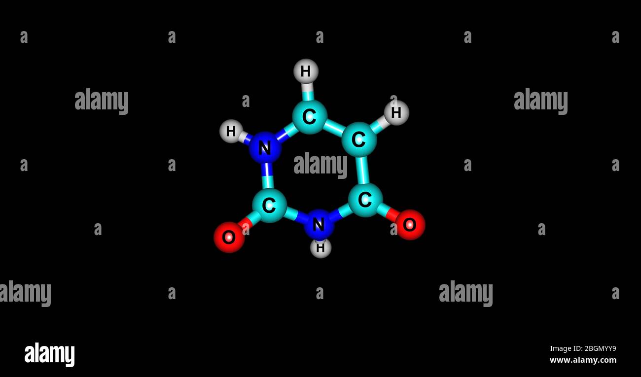 Uracil is one of the four nucleobases in the nucleic acid of RNA. 3d ...