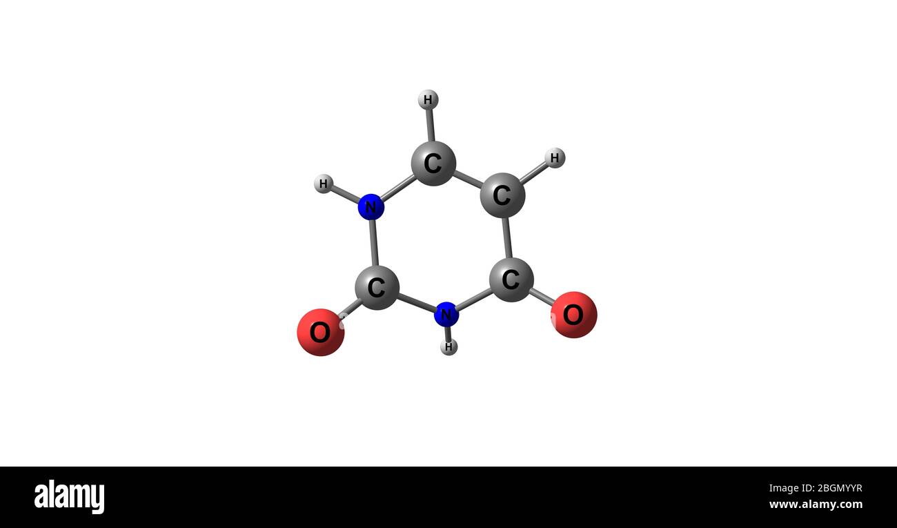 Uracil is one of the four nucleobases in the nucleic acid of RNA. 3d ...