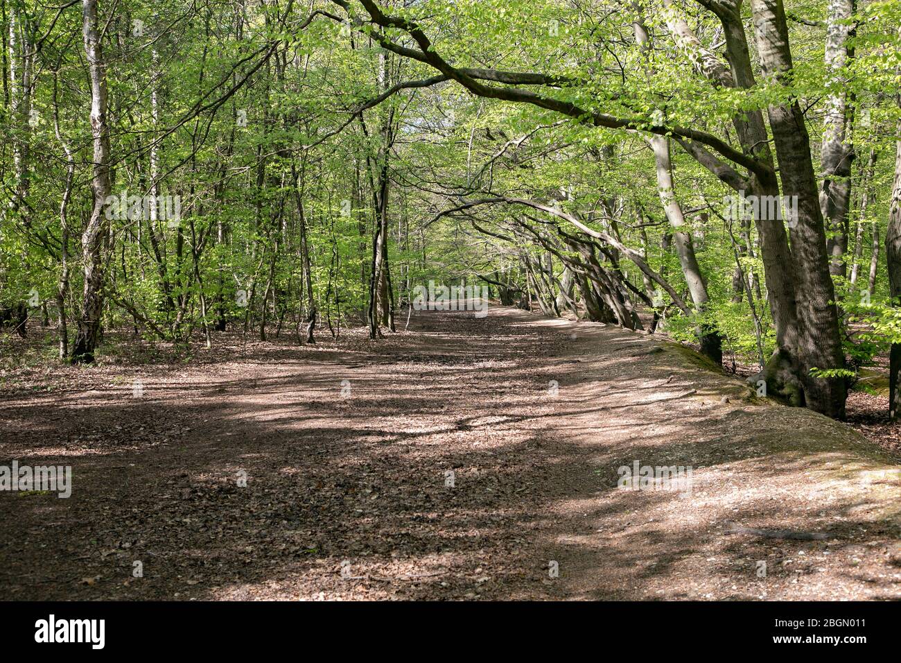 English spring colours hi-res stock photography and images - Alamy