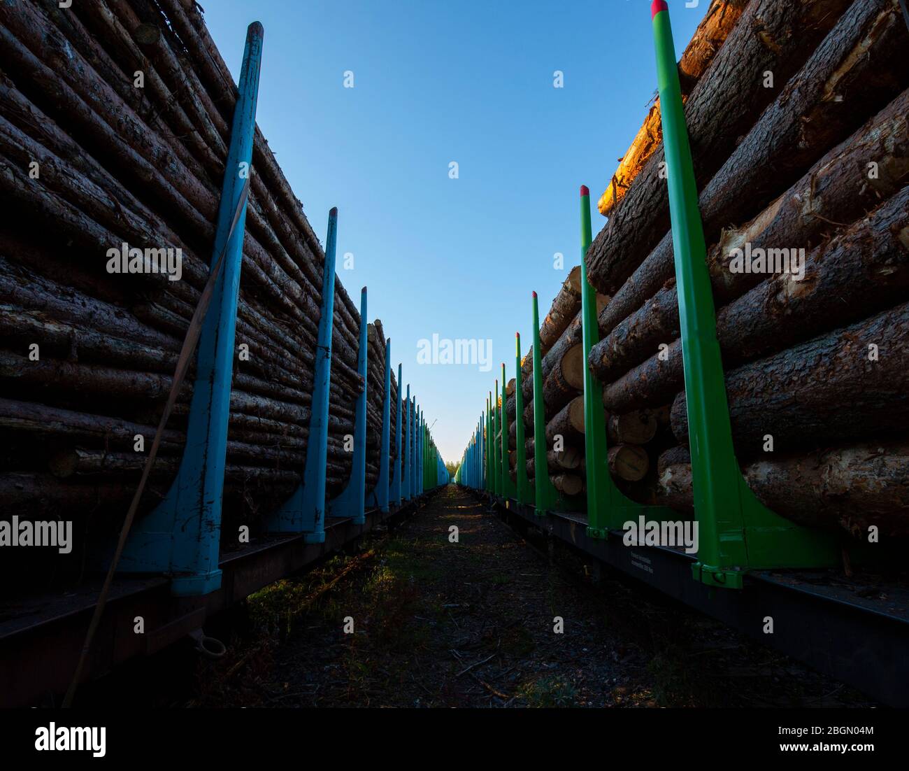 Logging trains hi-res stock photography and images - Alamy