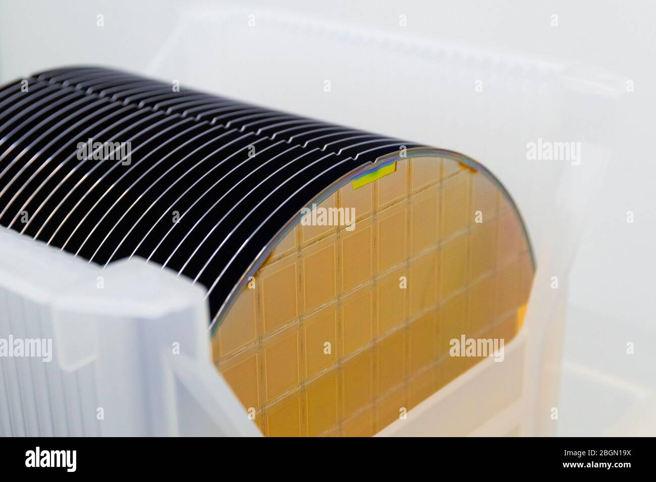 Close up of Silicon wafers gold yellow color with chip cells prepared ...