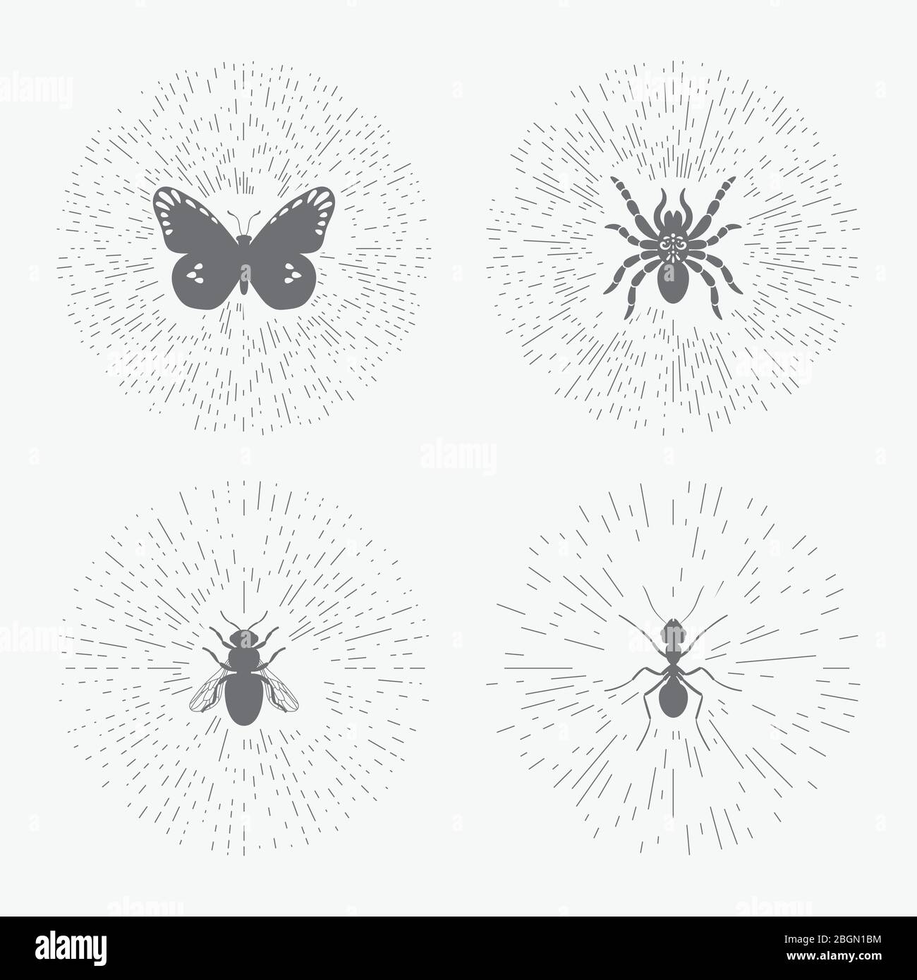 Vintage labels templates hi-res stock photography and images - Alamy