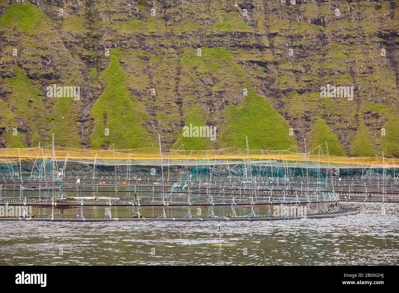 Salmon fishing farm pools in Faroe islands fjords. Aquaculture industry ...