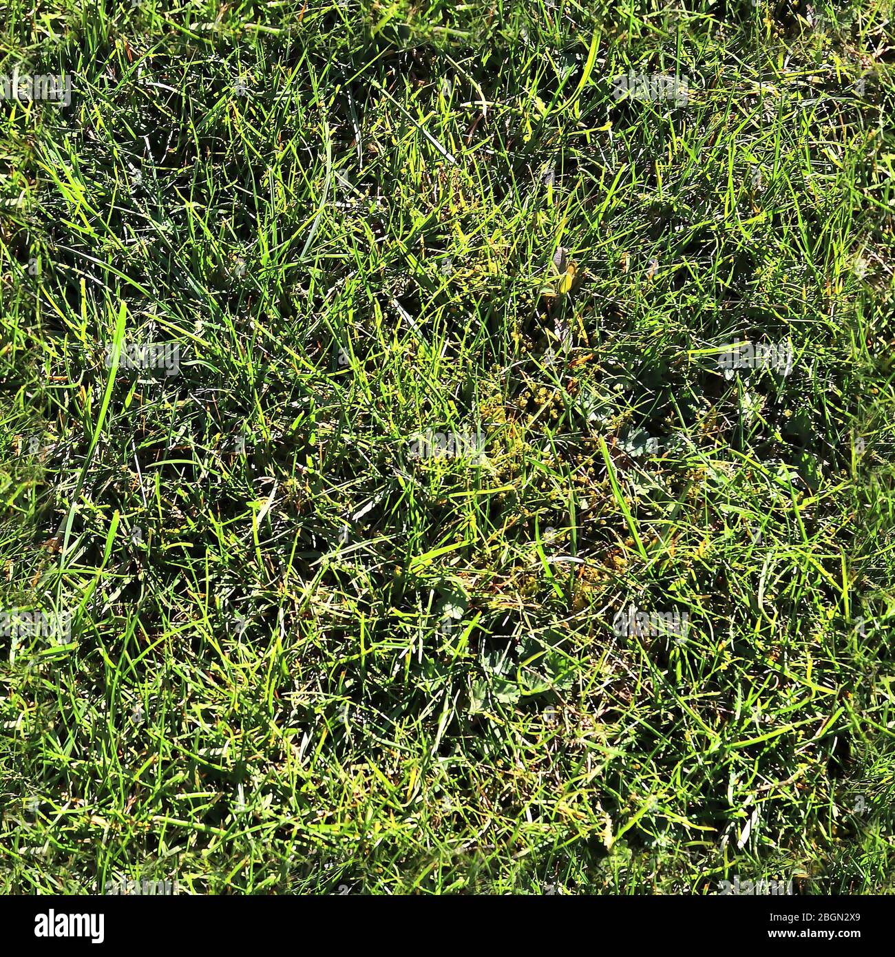 Repeatable High Resolution Stock Photography and Images - Alamy