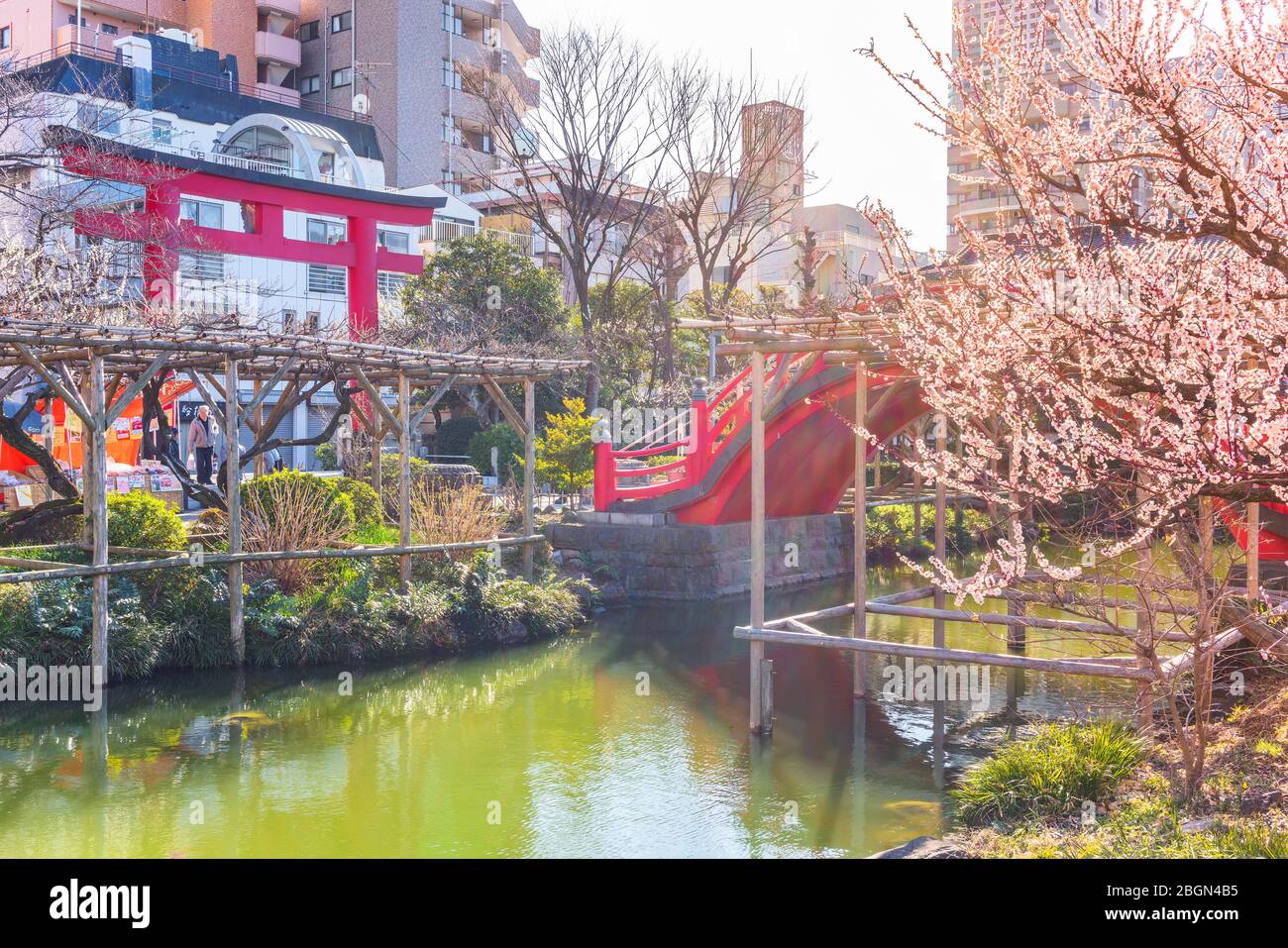 tokyo, japan - march 08 2020: Red Torii shinto gate and Taiko arch ...