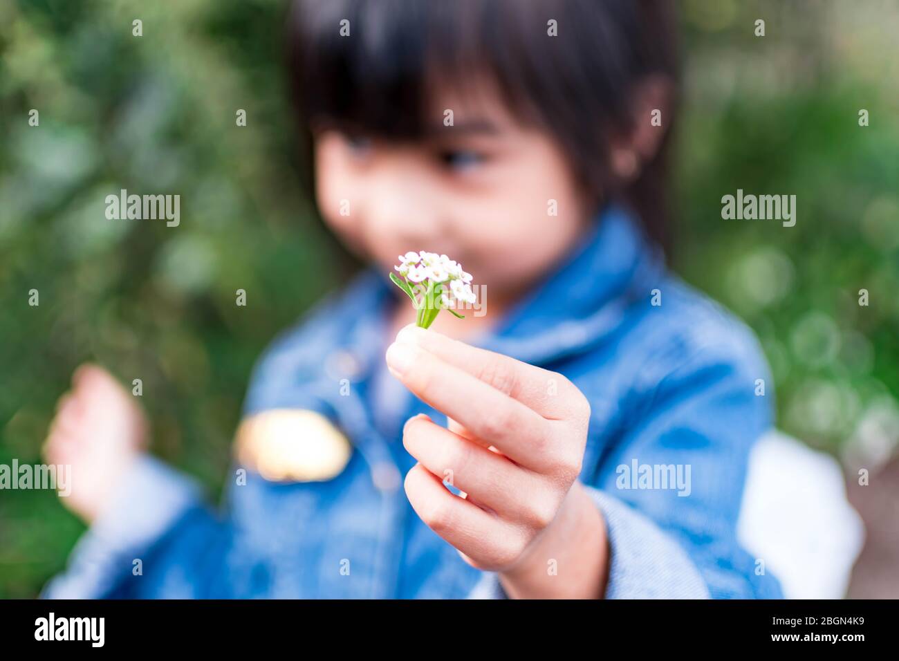 Child's hand holding a small flower. Sharing and giving concept. Love ...
