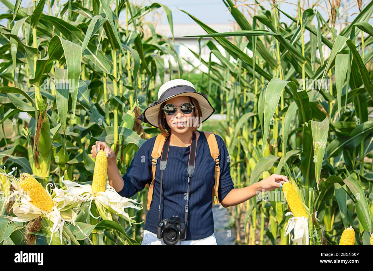 A woman holding the corn at the show in the farm Stock Photo - Alamy