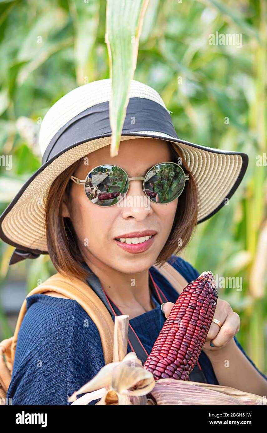 A woman holding the corn at the show in the farm Stock Photo - Alamy