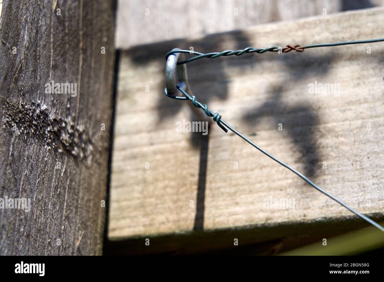 Plant training wires against a back garden fence Stock Photo - Alamy