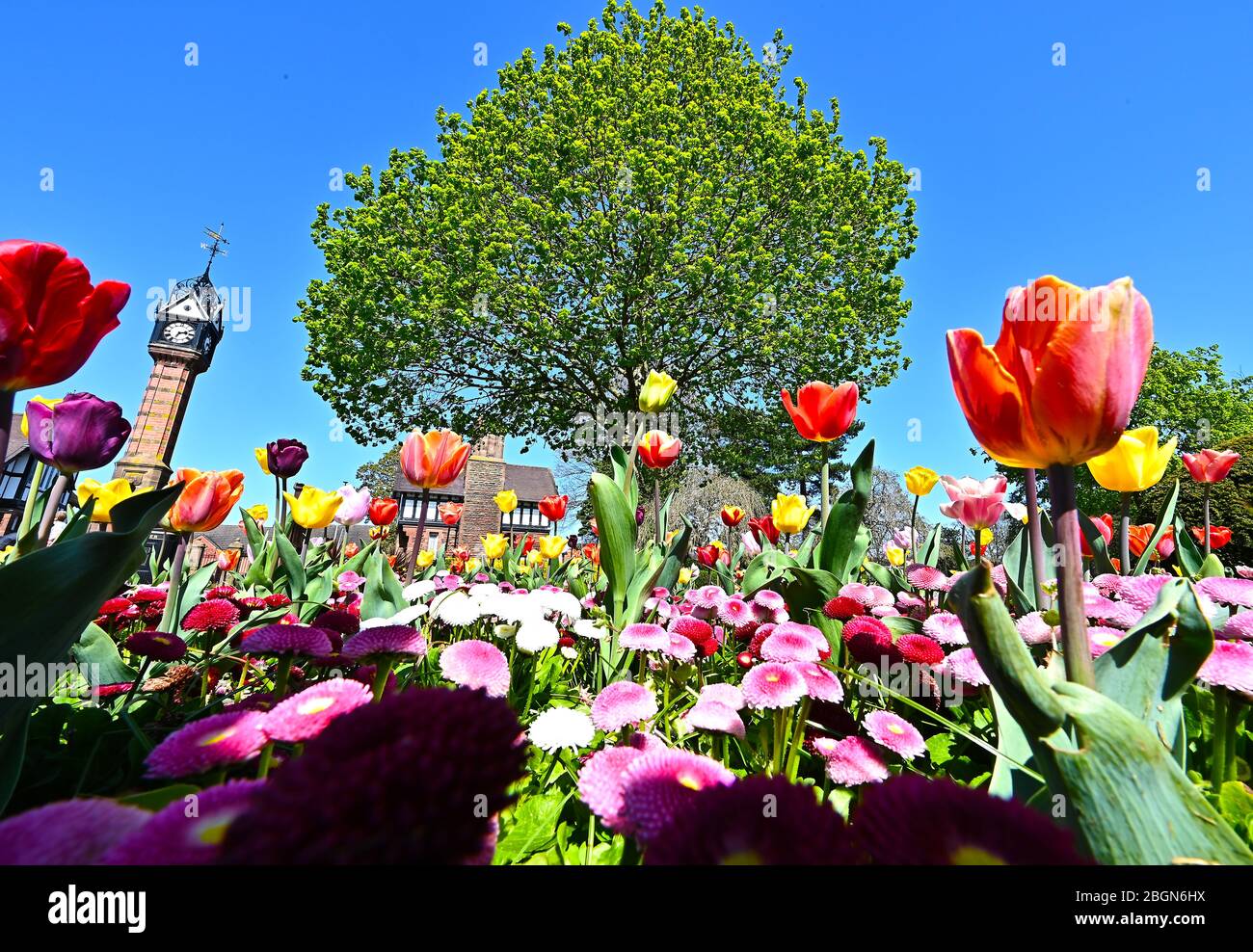 Beautiful floral display in Queens Park, Crewe, cheshire Stock Photo ...