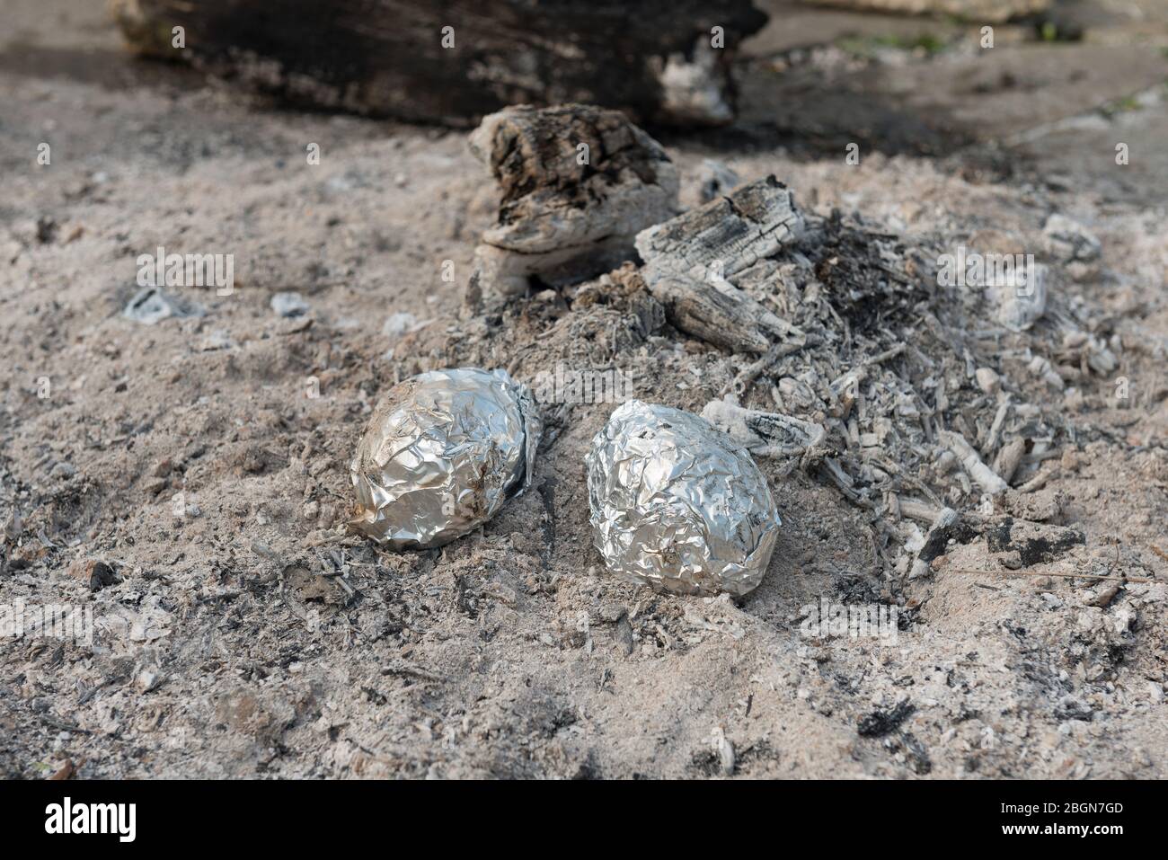 Campfire cooking aluminium foil baked roasted potato, uncovered from ...