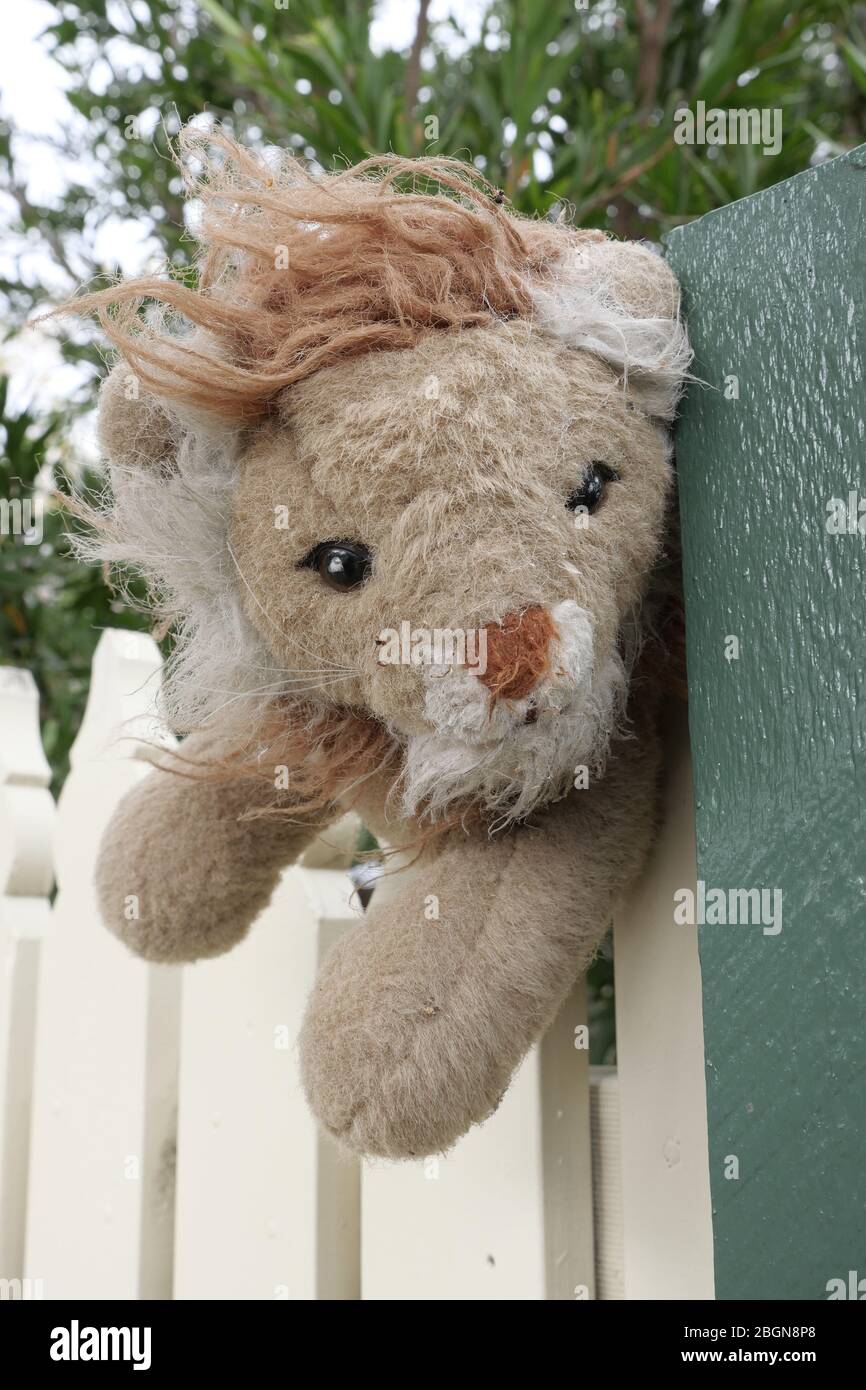 Small stuffed lion toy attached to front gate to help cheer up children ...