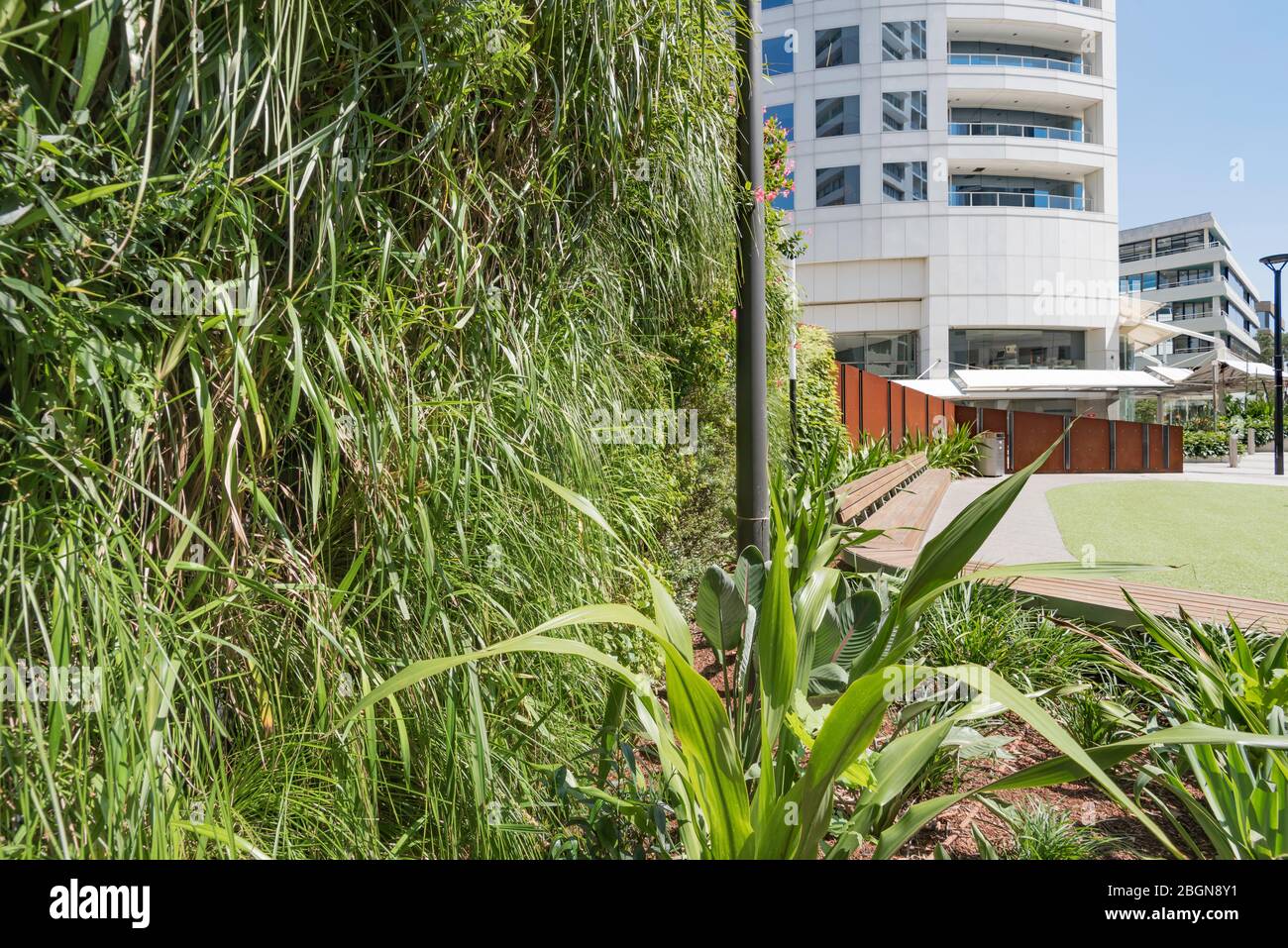 The world's first Breathing Wall, built by Australian firm Junglefy in ...