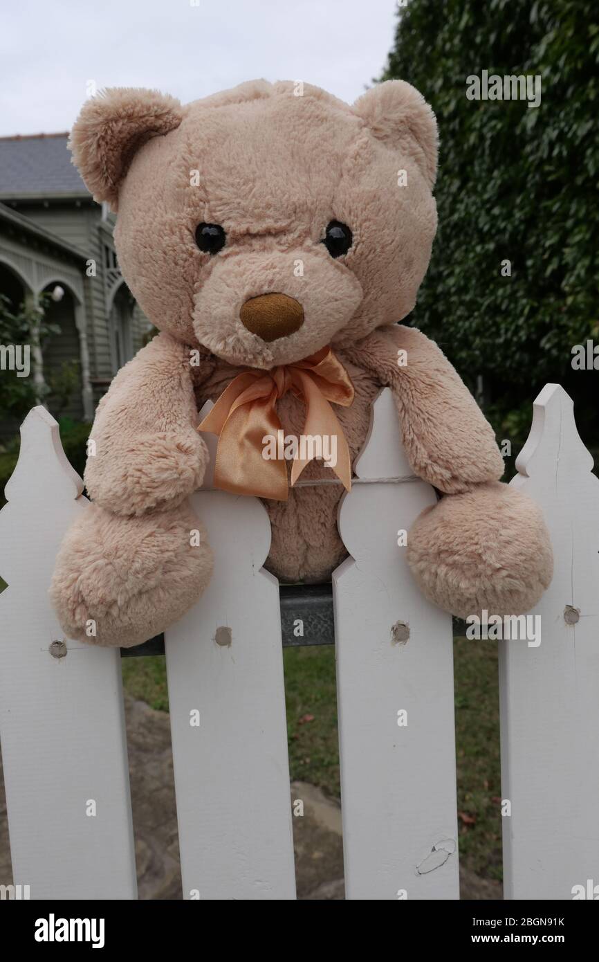 Teddy bears attached to front gates to cheer up children during COVID ...