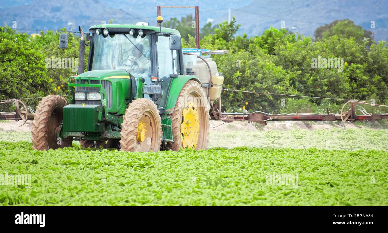Insecticide spray hi-res stock photography and images - Alamy