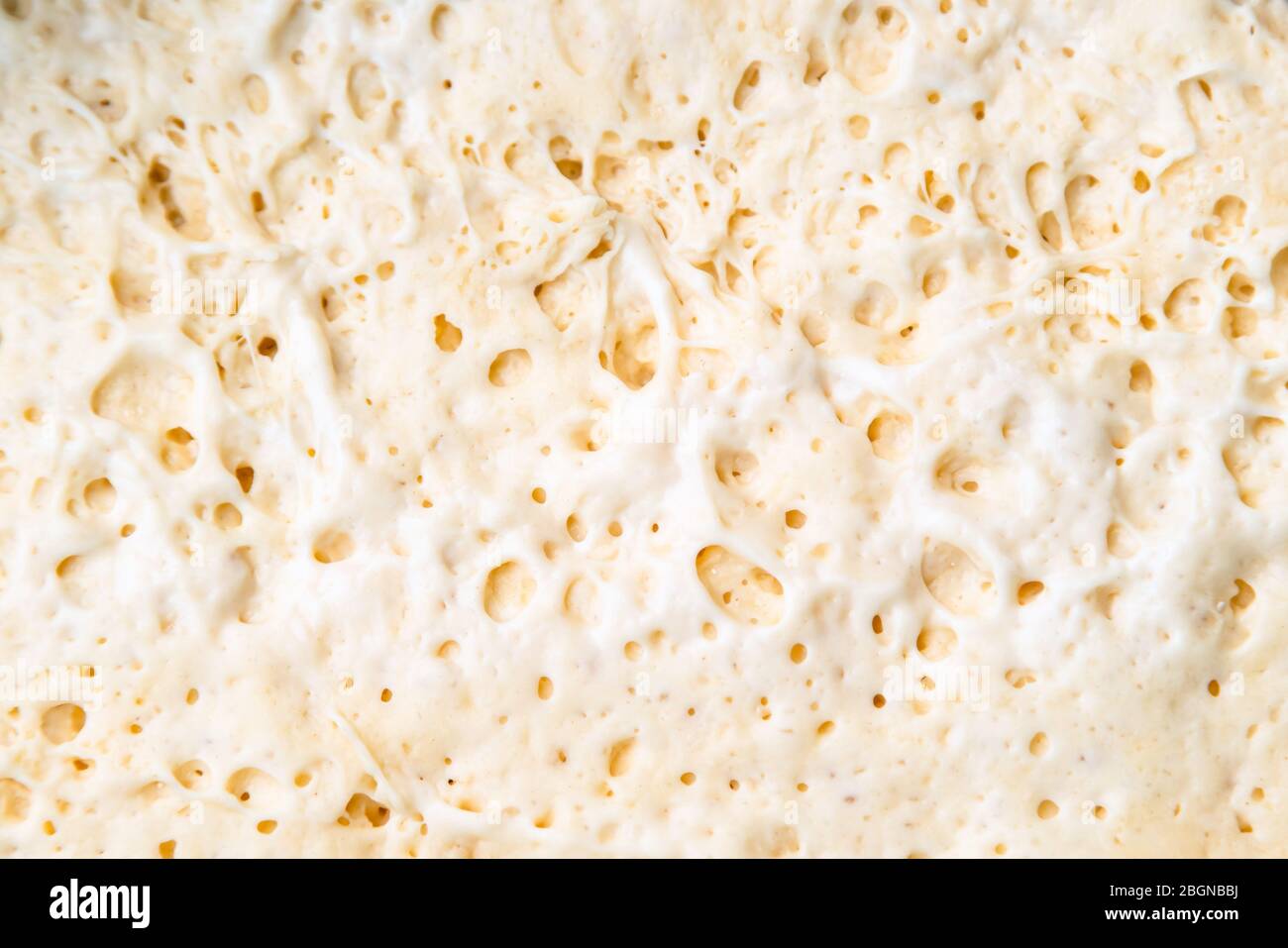 Close up of white dough for cooking bread or pizza. White round ...