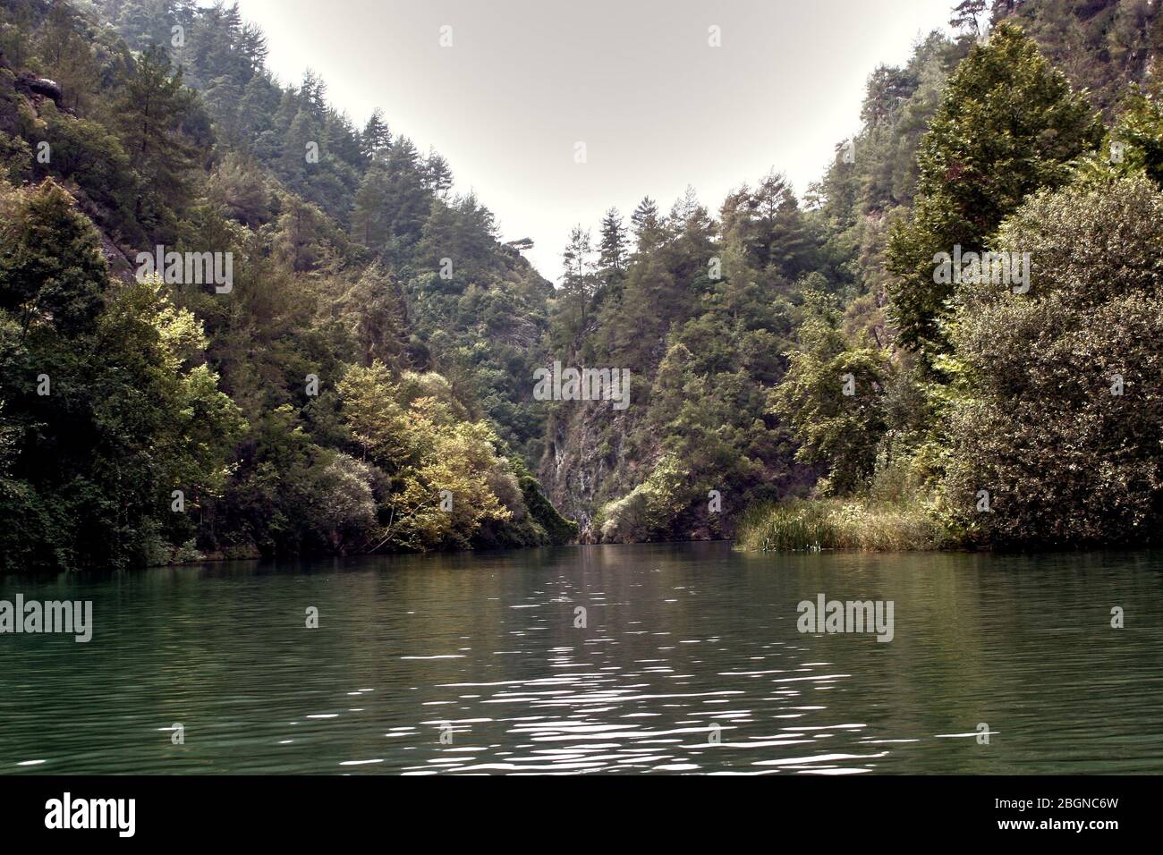 Jabal moussa reserve hi-res stock photography and images - Alamy