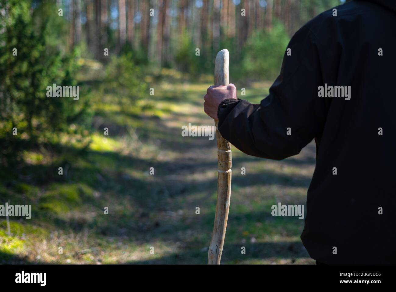Close up hand holding pole hi-res stock photography and images - Alamy