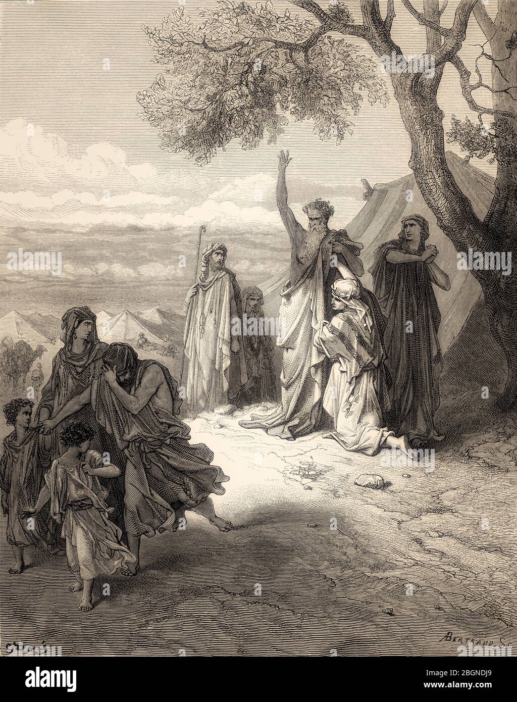 Noah Curses Ham and Canaan, Old Testament, woodcut by Gustave Doré ...