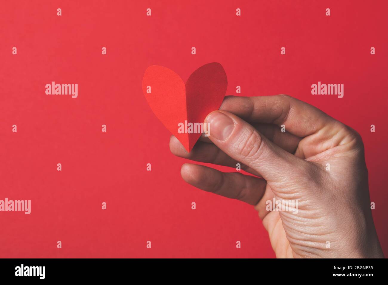 Female hand cut out hi-res stock photography and images - Alamy