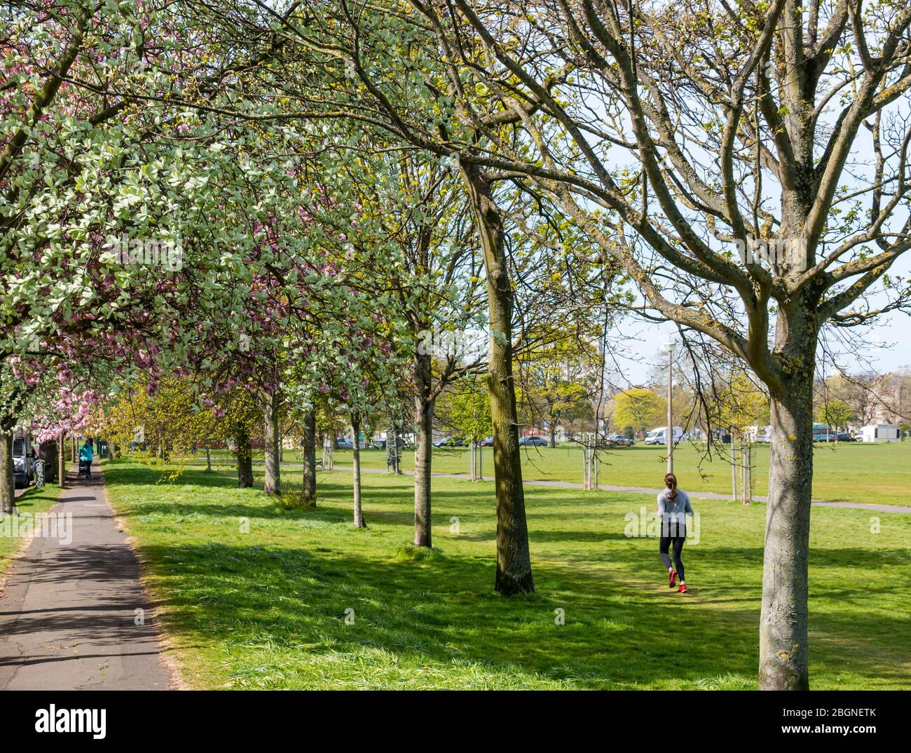 Leith links hi-res stock photography and images - Alamy