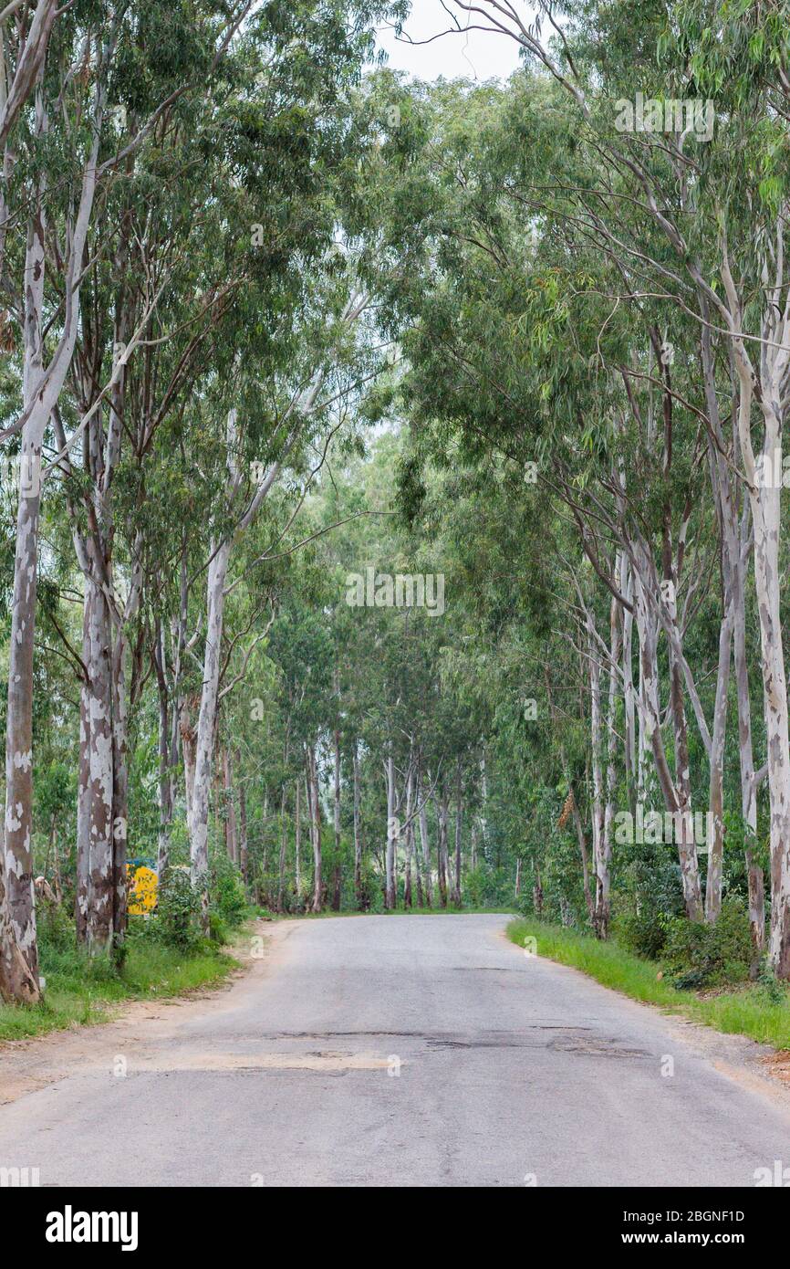 Hilly areas hi-res stock photography and images - Alamy