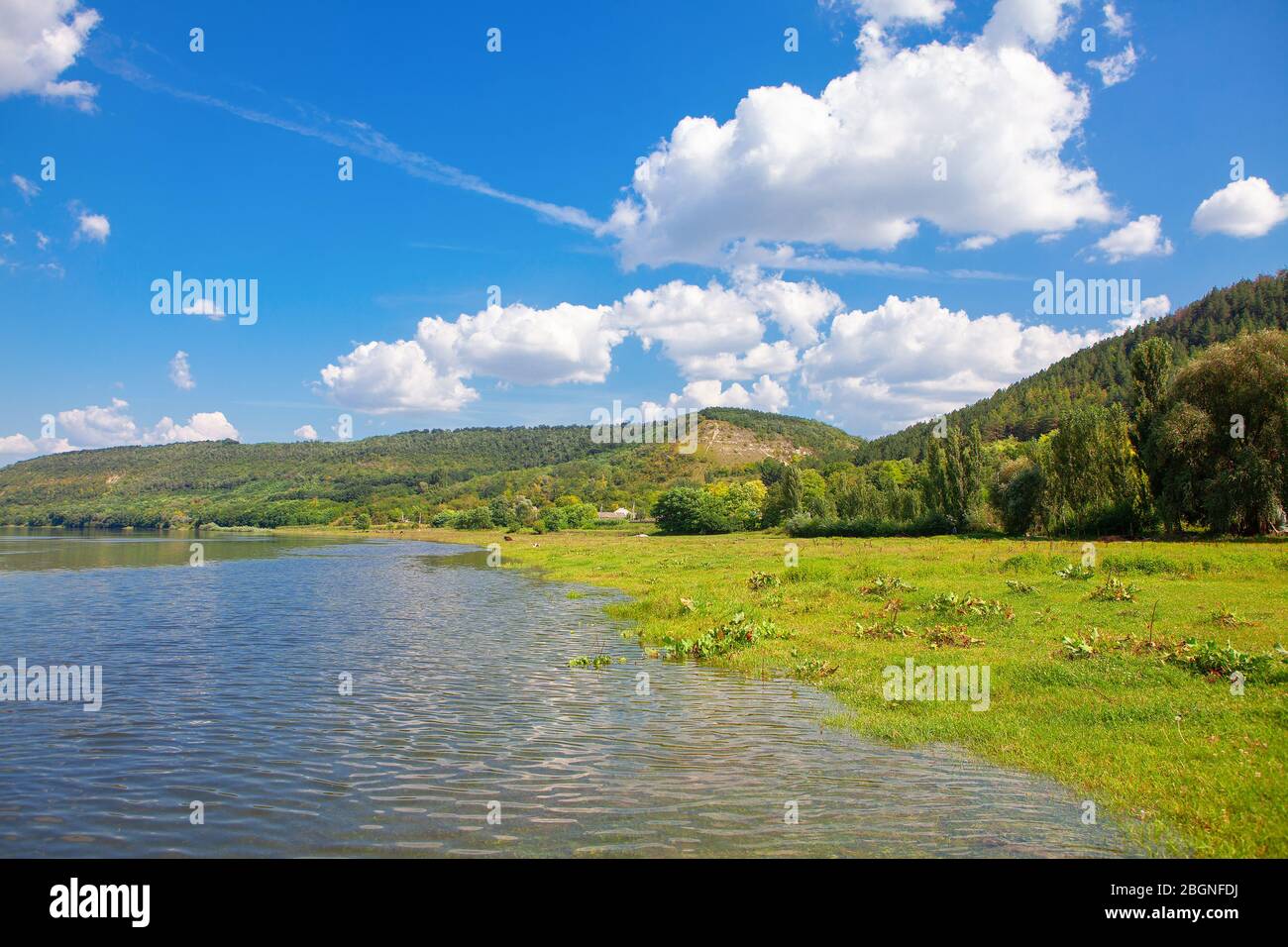Riverside wetland and lake reflection water grass hi-res stock ...