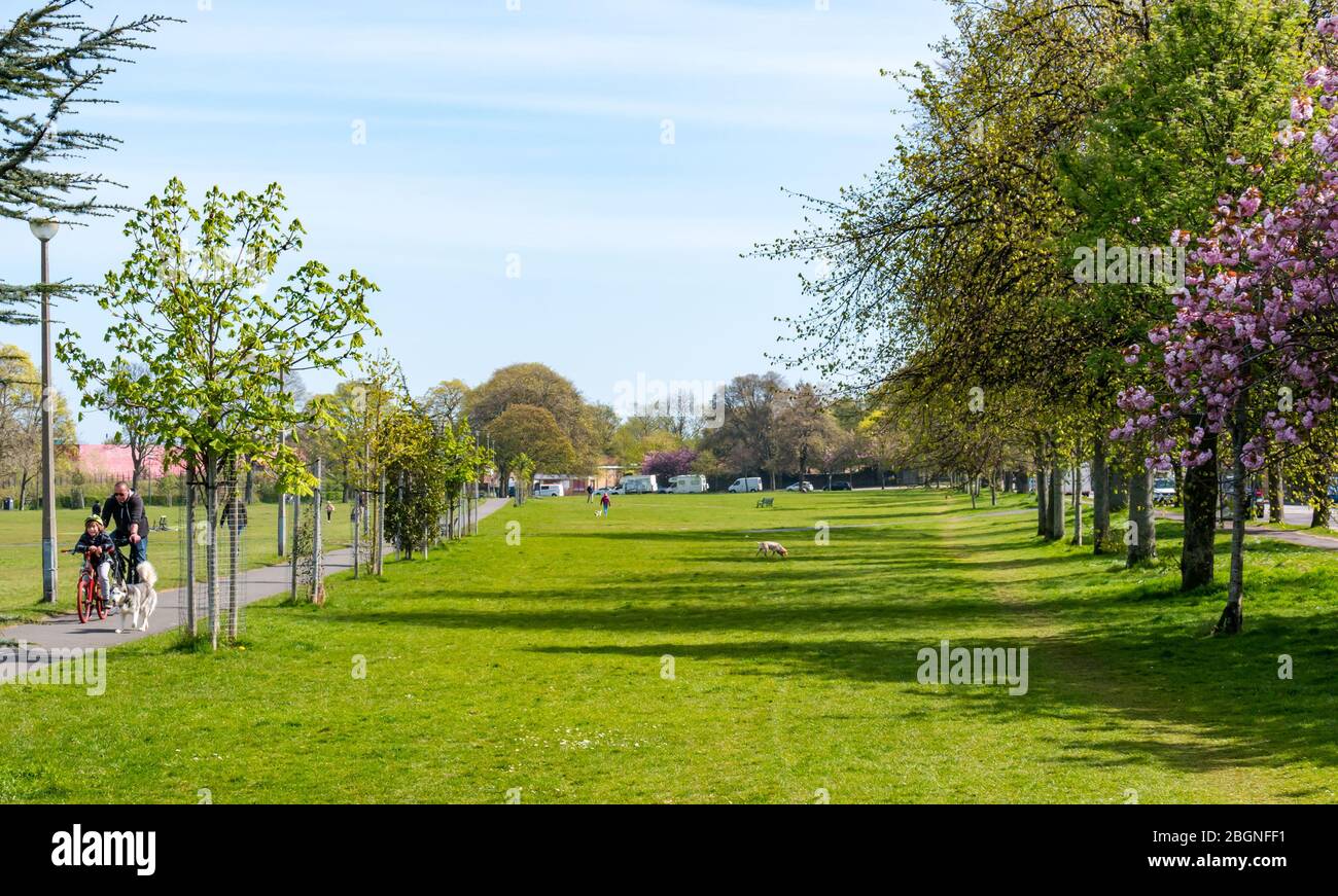 Leith links hi-res stock photography and images - Alamy