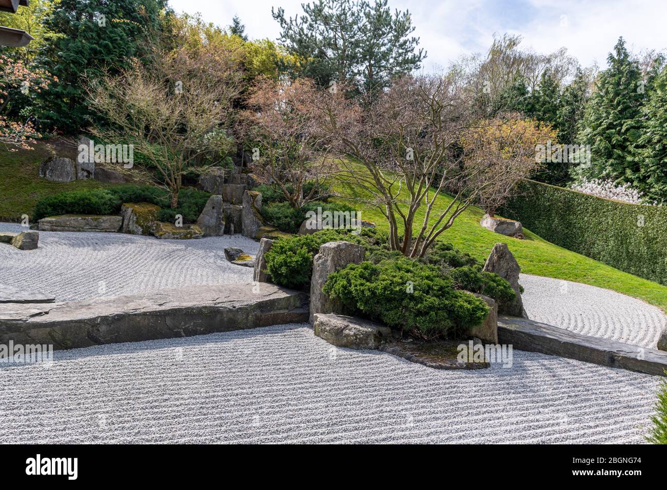 traditional japanese zen garden with trees in the background Stock ...