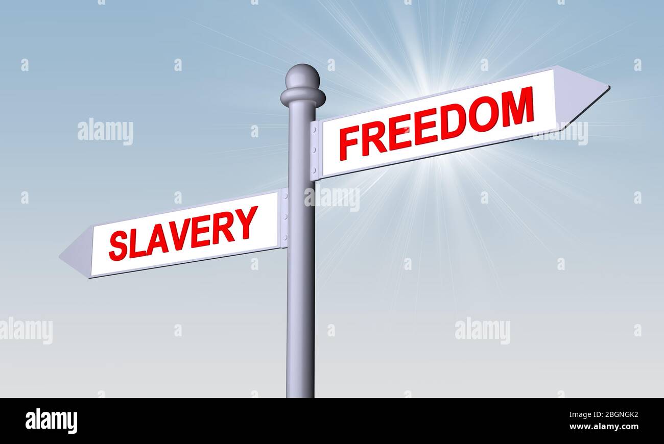 pointers with directions freedom and slavery. 3d rendering Stock Photo - Alamy