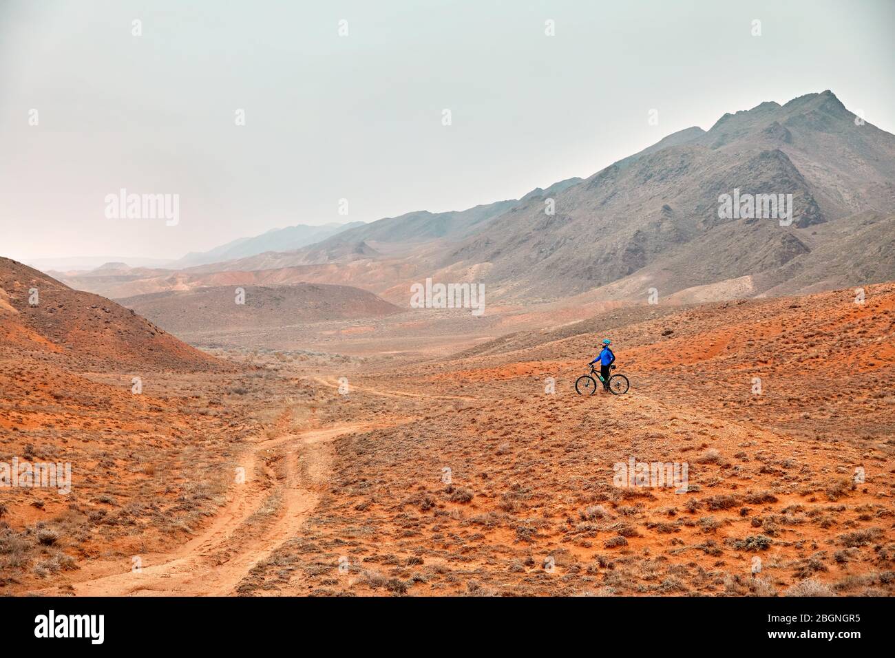 Back view man bike hi-res stock photography and images - Alamy
