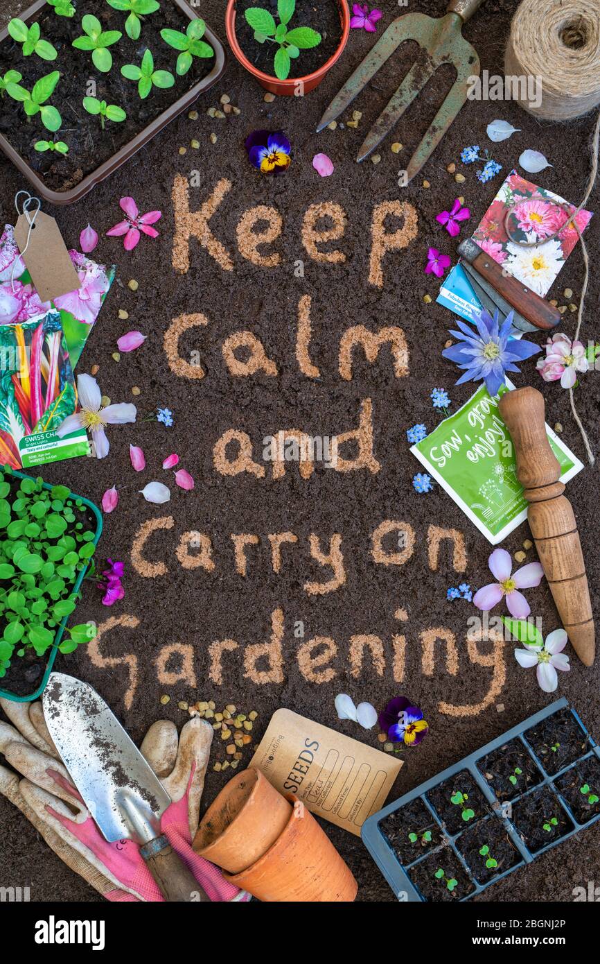 Keep seed packets hi-res stock photography and images - Alamy