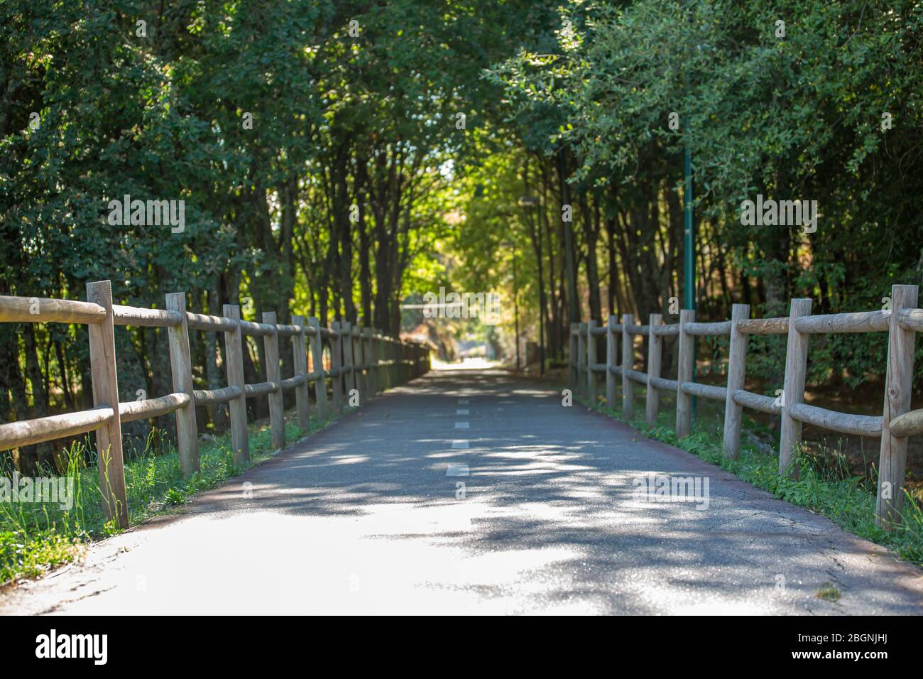 Pedestrian and cycle eco path, with a barrier of wooden trunks, trees ...