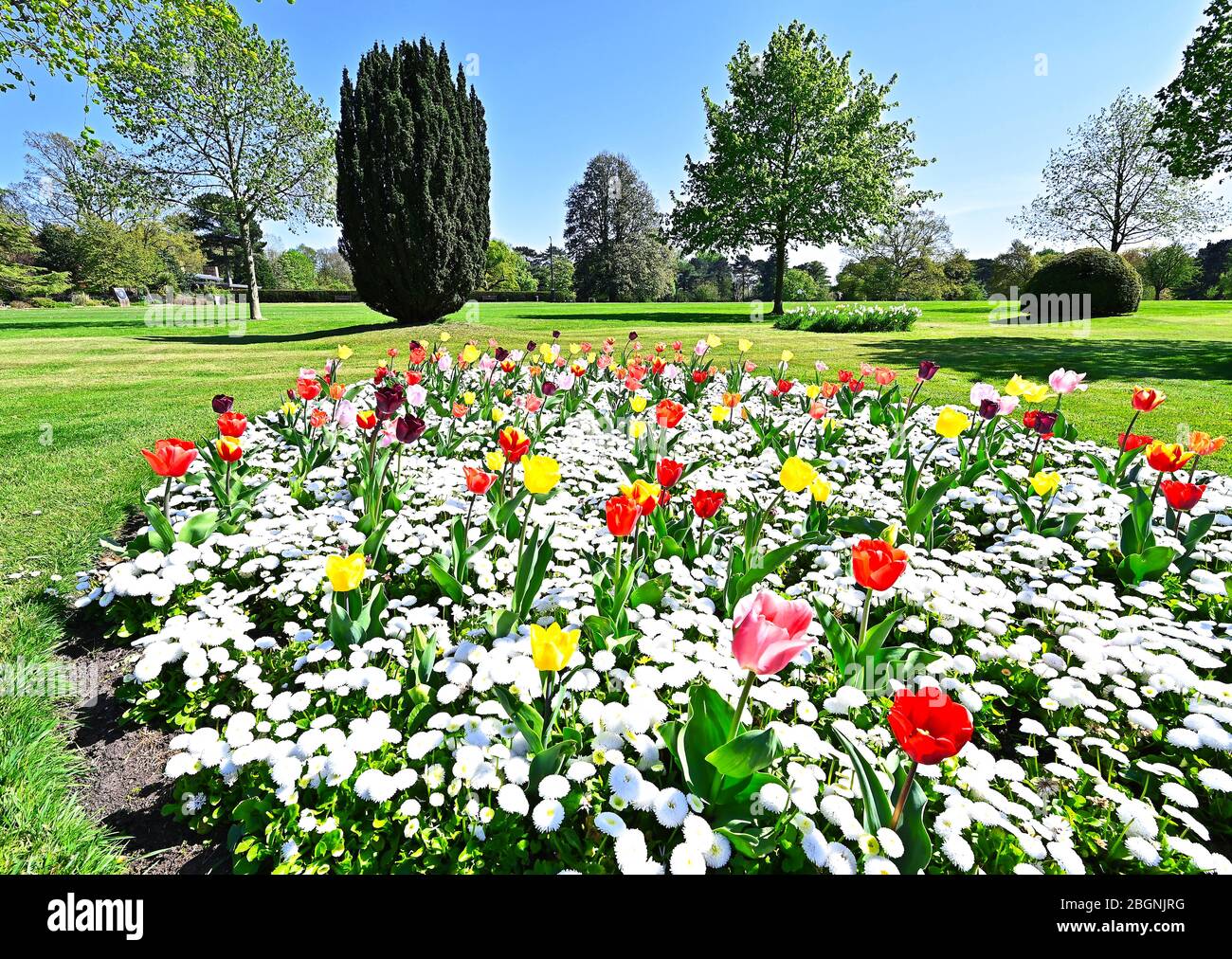 Queens Park in Crewe, cheshire Stock Photo - Alamy