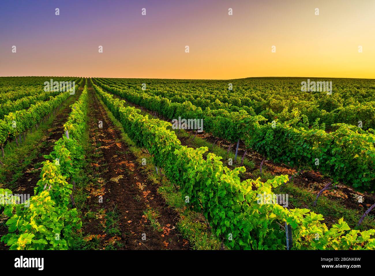 Aerial sunset over fields in hi-res stock photography and images - Alamy