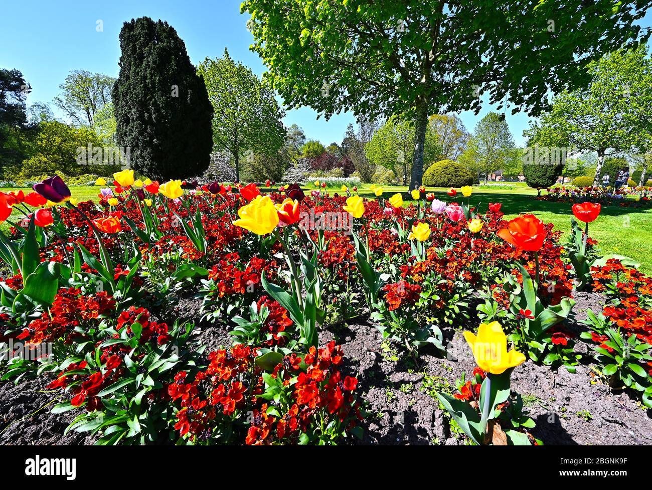 Queens Park in Crewe, cheshire Stock Photo - Alamy