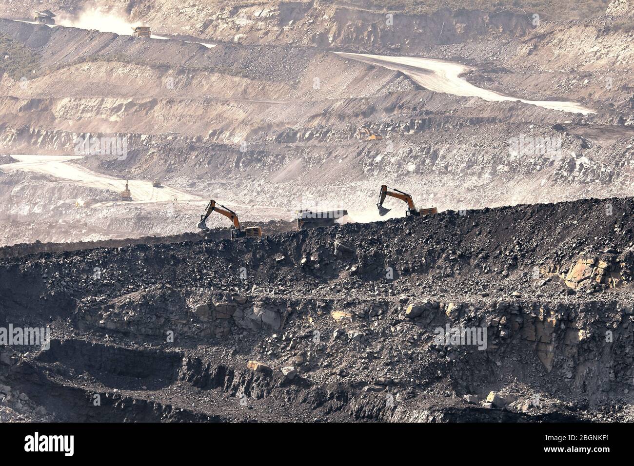 Concept open pit mine industry. Metaphor giraffes excavator moving end ...