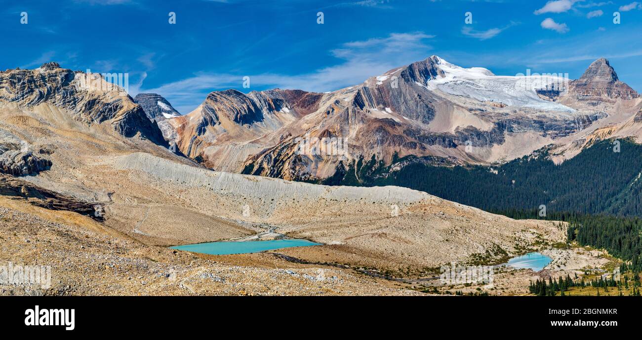 Glacier des Poilus, Isolated Pk, Whaleback Mtn, Little Yoho Valley ...